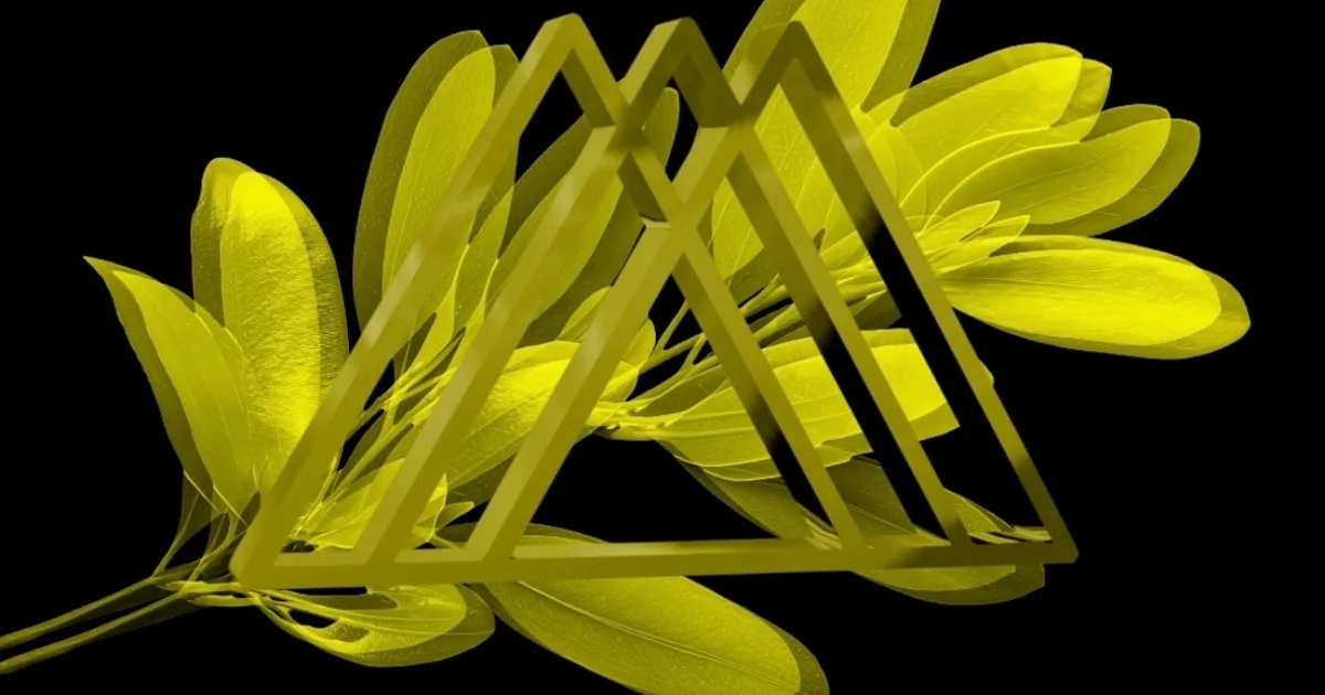 Makemba Presents: Triangle — ADE