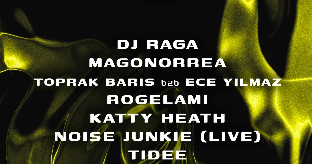 Sonic Tonic Collective Takeover & Record Fair at FEED — Day 2: STC ...